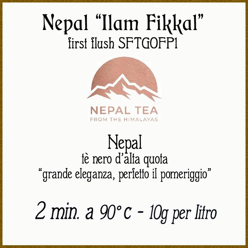 Nepal Ilam Fikkal, tè nero nepalese di primo raccolto